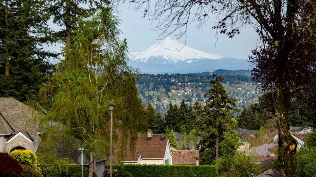 Hidden Springs Neighborhood Guide - SkyBlue Portland