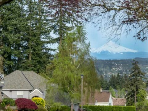 Rosemont Summit Neighborhood Guide - SkyBlue Portland