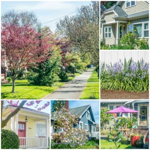 Kenton Neighborhood Guide - SkyBlue Portland