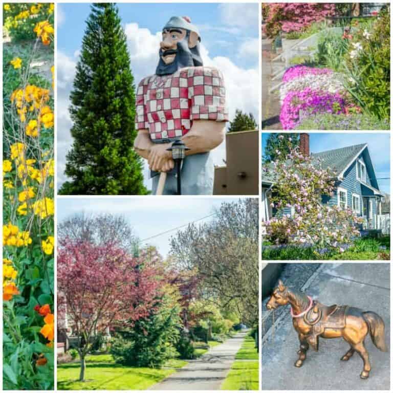 Kenton Neighborhood Guide - SkyBlue Portland