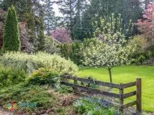 Lake Grove Neighborhood Guide - SkyBlue Portland