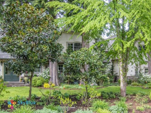 Lake Grove Neighborhood Guide - SkyBlue Portland