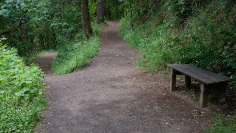 Lake Grove Neighborhood Guide - SkyBlue Portland